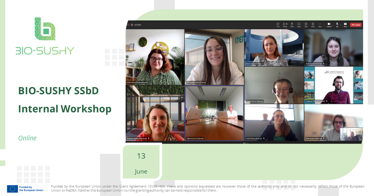 BIO-SUSHY Internal Workshop on Safe-and Sustainable by Design (SSbD ...